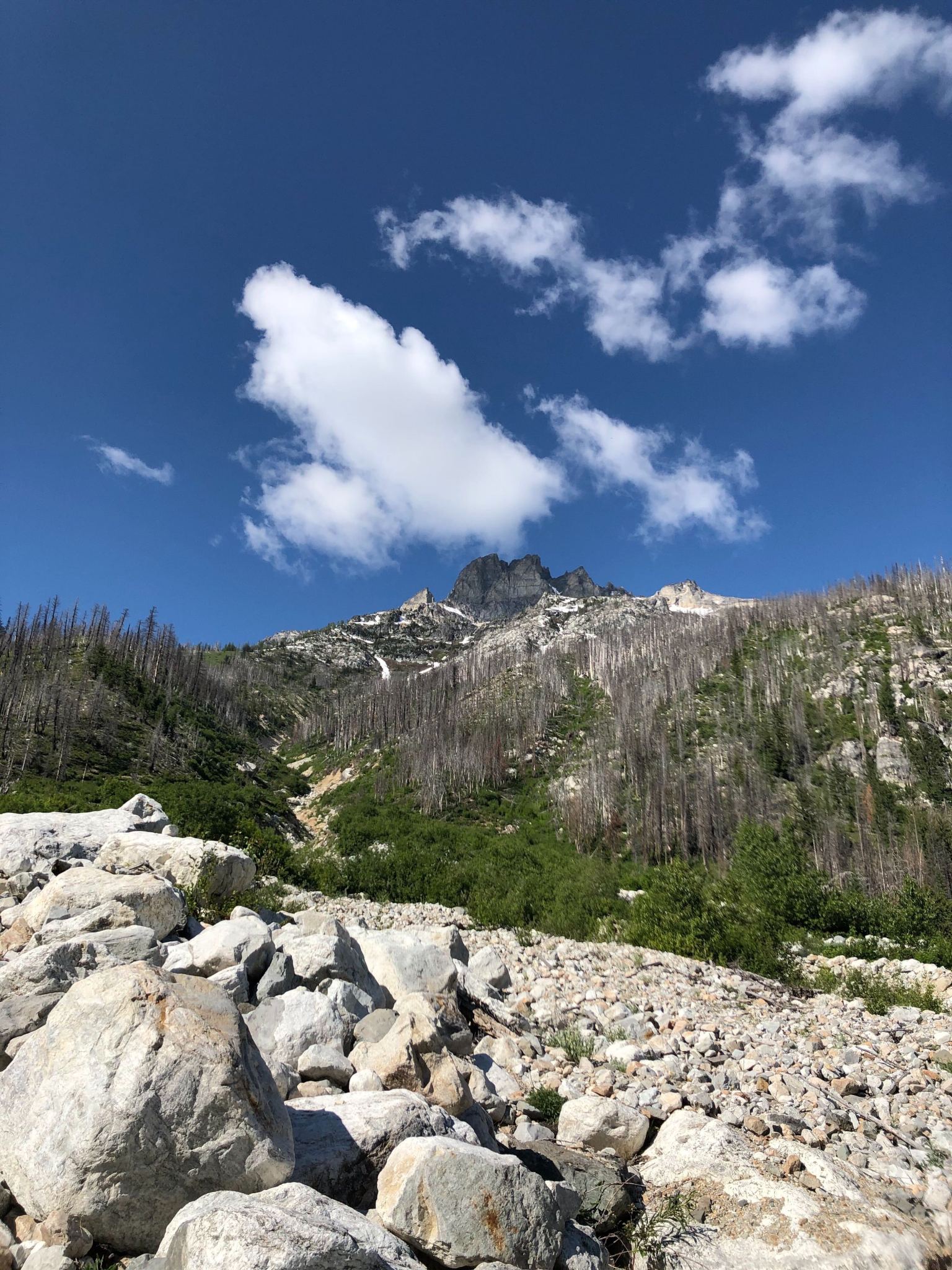 Mt Goode, Northeast Buttress – Peak of the Week