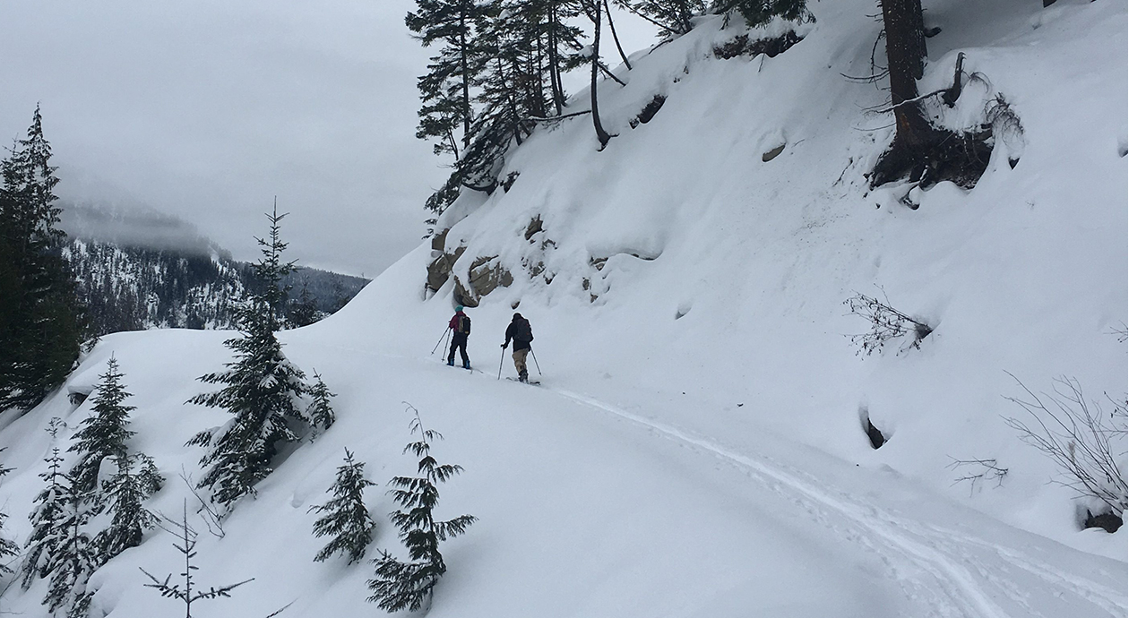 Arrowhead Mountain, Stevens Pass – Peak of the Week